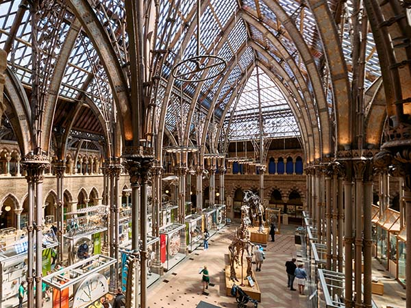 Autism Friendly Opening | Oxford University Museum of Natural History