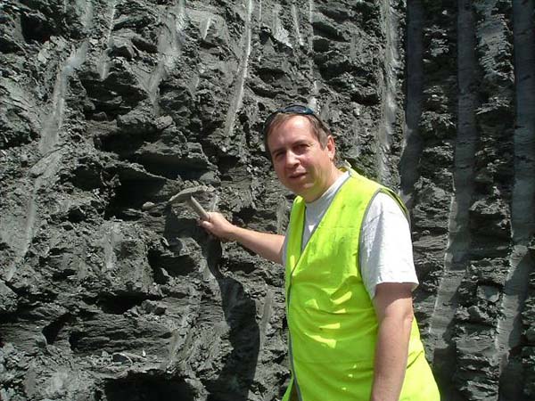 Fossils of Blockley Quarry (Northcot Brick) | Oxford University Museum of Natural History