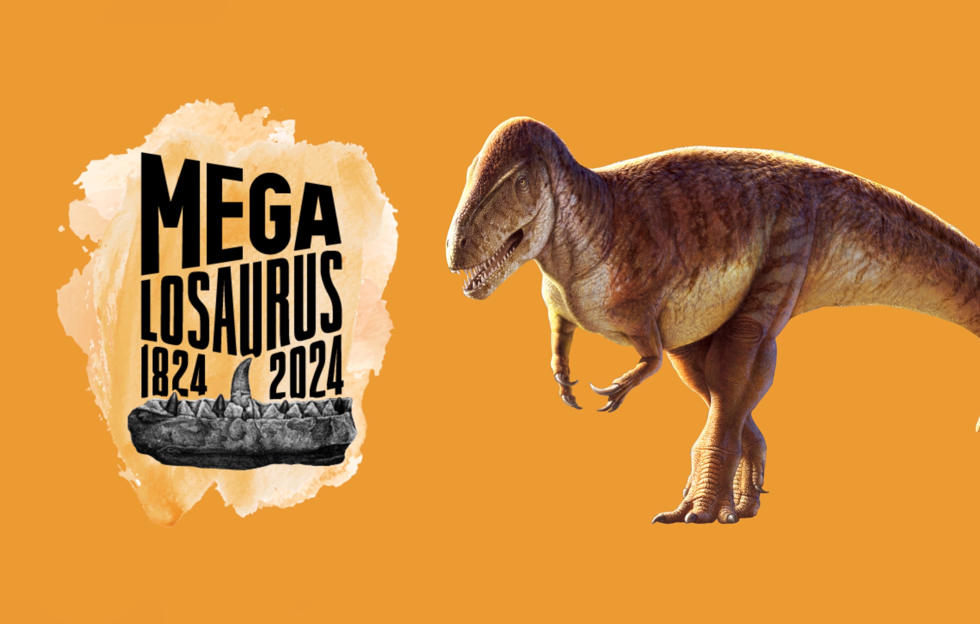 Megalosaurus Unearthed | Oxford University Museum of Natural History