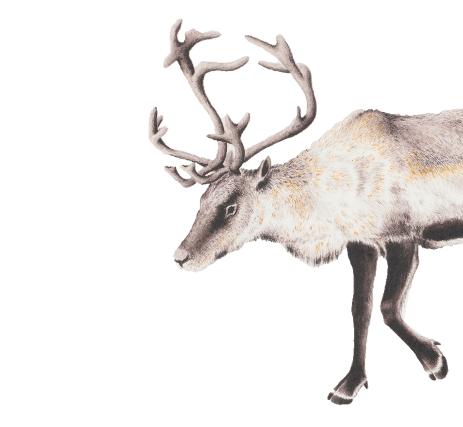 Ice Ages in Oxfordshire | Oxford University Museum of Natural History