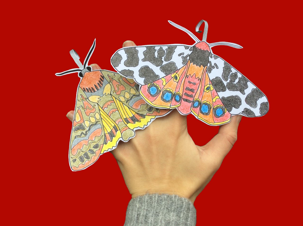 Moth Finger Puppets | Oxford University Museum of Natural History
