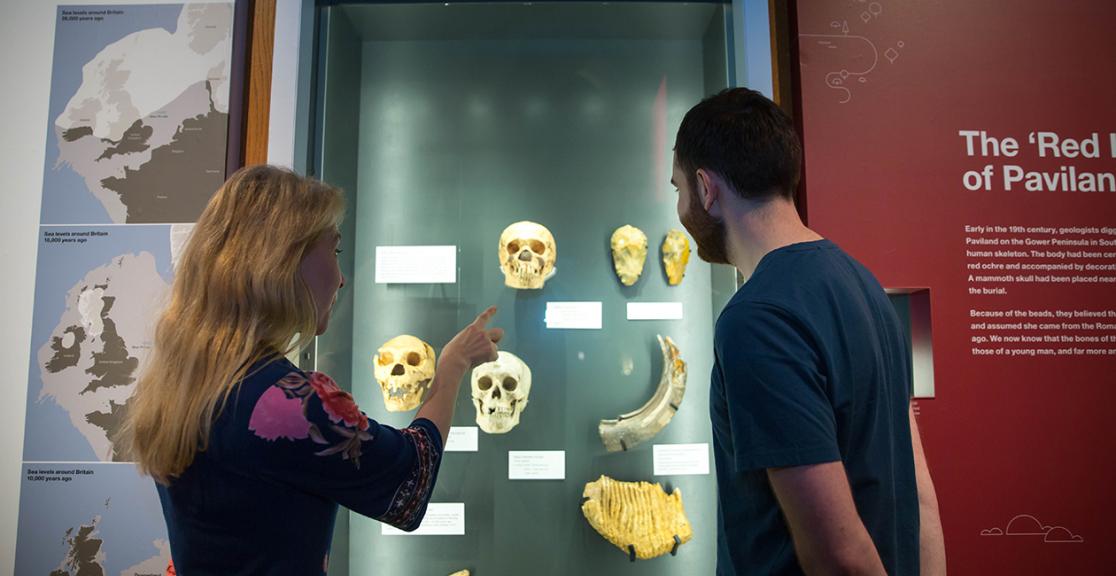 The 'Red Lady' of Paviland | Oxford University Museum of Natural History