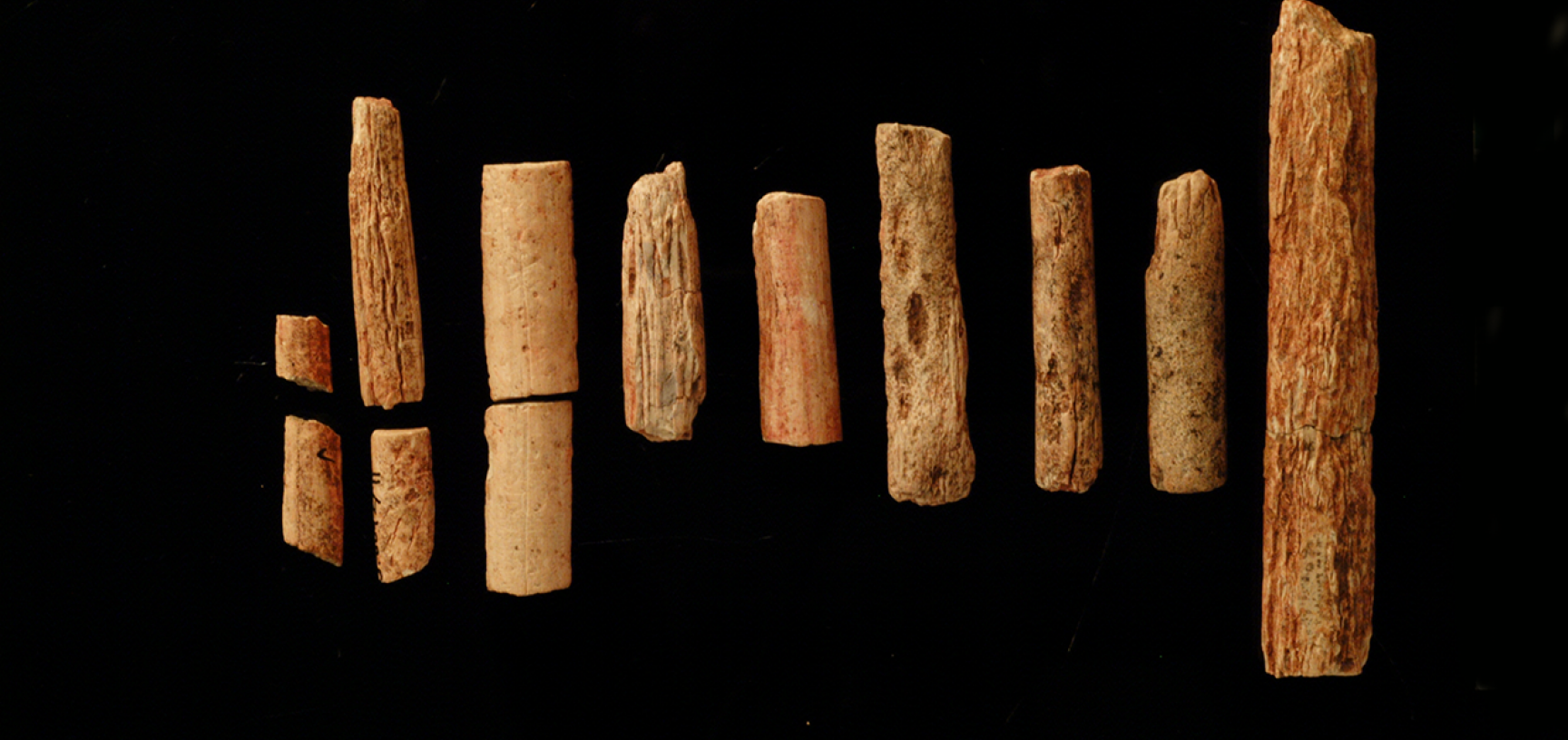 The 'Red Lady' of Paviland | Oxford University Museum of Natural History