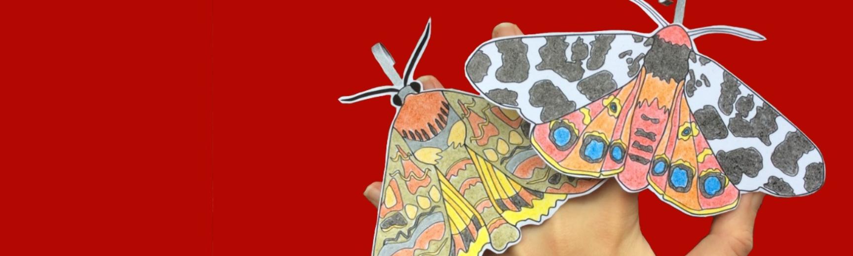 Moth Finger Puppets | Oxford University Museum of Natural History