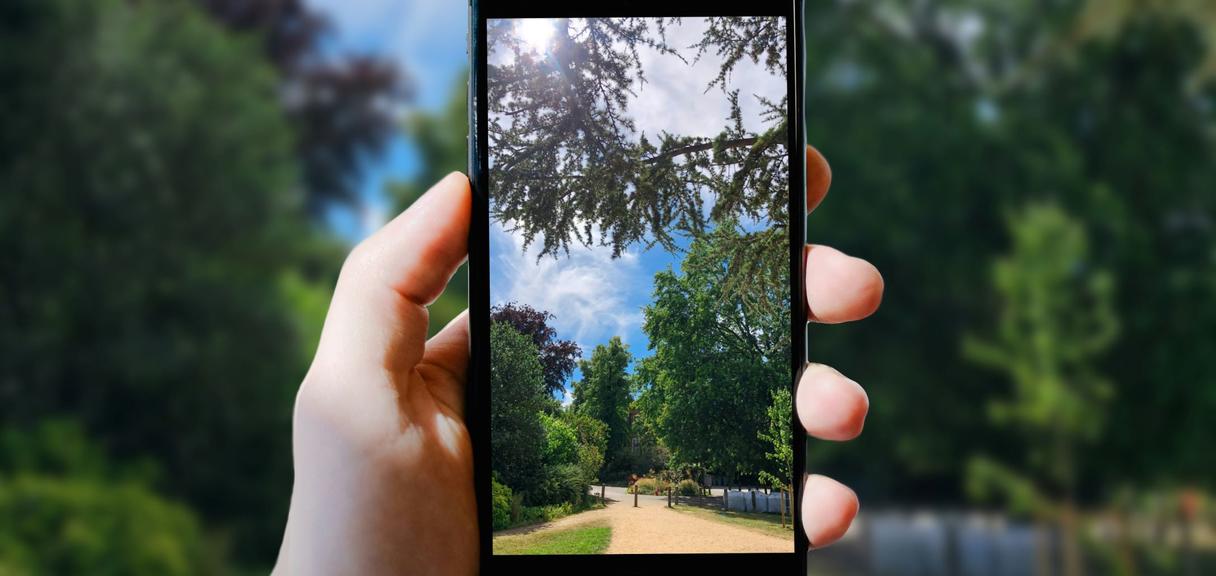 Curious Adventures in Nature | Oxford University Museum of Natural History