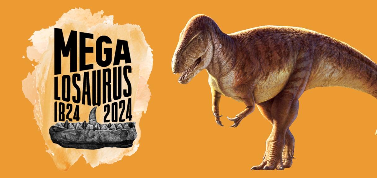 Megalosaurus Unearthed | Oxford University Museum of Natural History