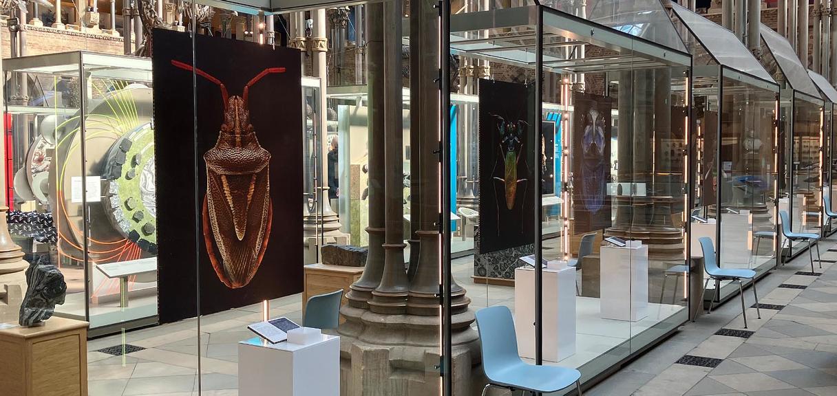 Earth - A Planet and its Life | Oxford University Museum of Natural History