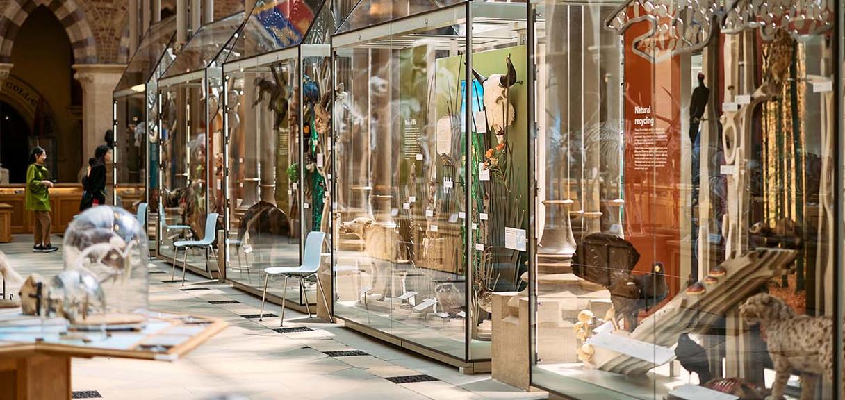 VISIT THE MUSEUM OF NATURAL HISTORY | Oxford University Museum of ...