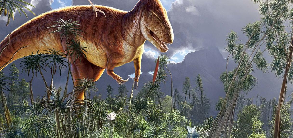 Megalosaurus! Where Dinosaur Science Began | Oxford University Museum ...