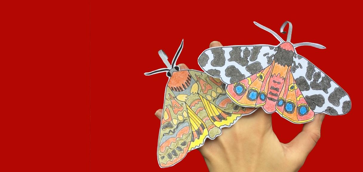 Moth Finger Puppets | Oxford University Museum of Natural History
