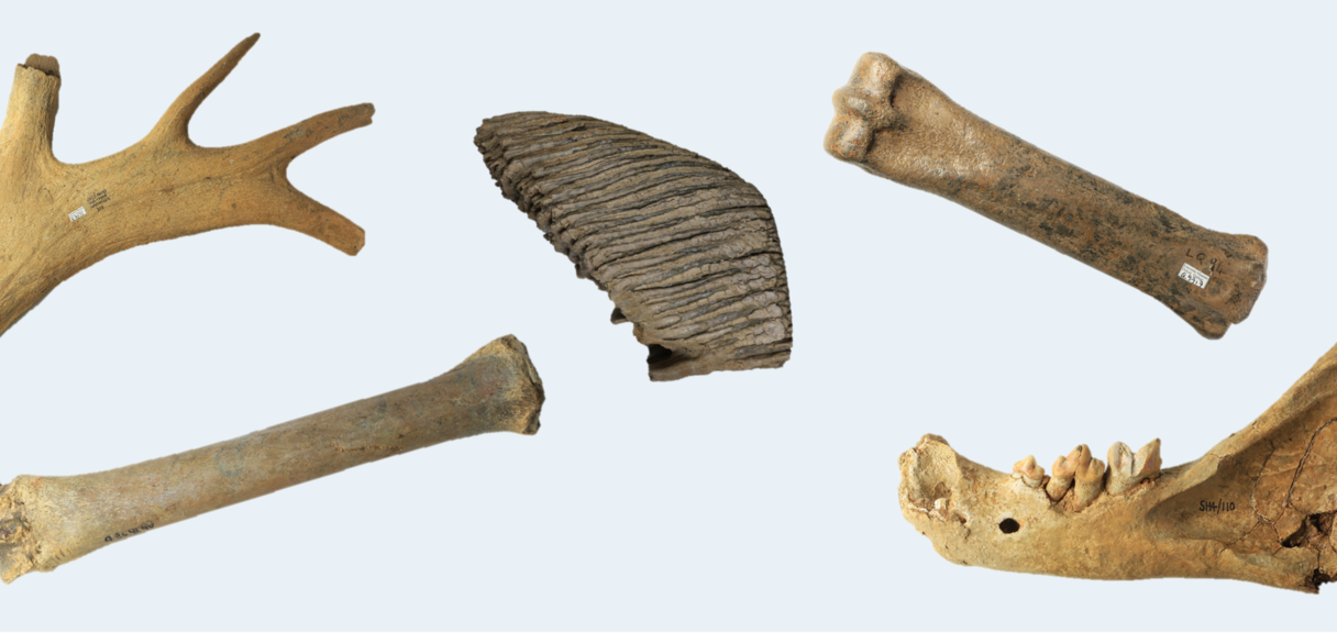 Ice Ages in Oxfordshire | Oxford University Museum of Natural History