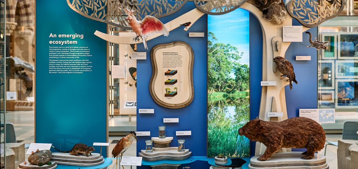 Ecosystems | Oxford University Museum of Natural History