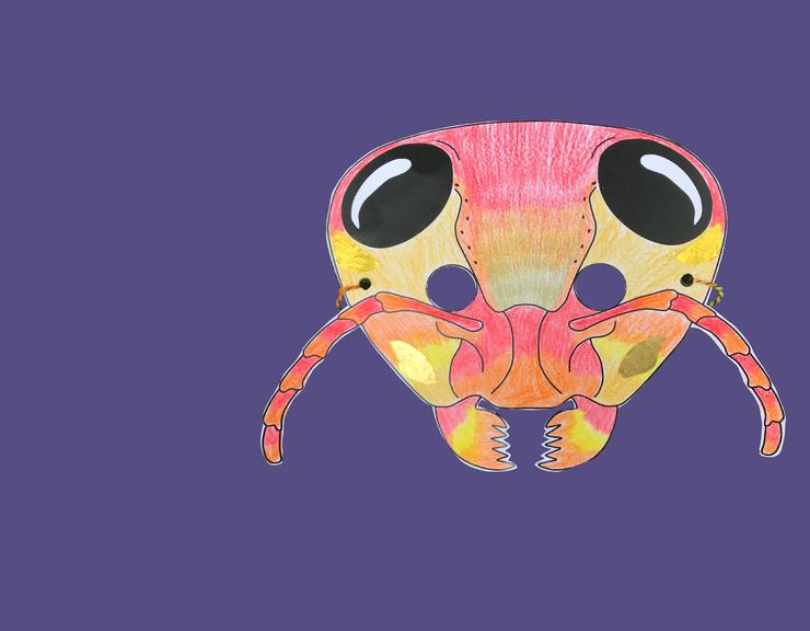 Ant Mask | Oxford University Museum of Natural History