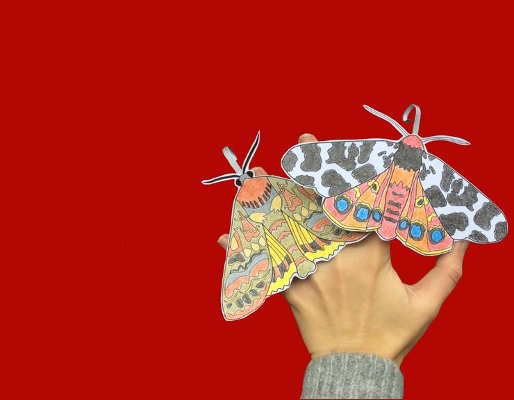 Moth Finger Puppets | Oxford University Museum of Natural History