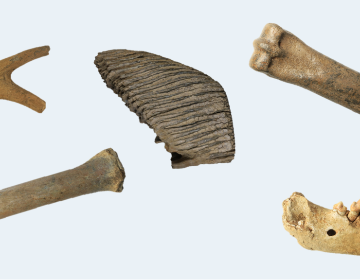 Ice Ages in Oxfordshire | Oxford University Museum of Natural History