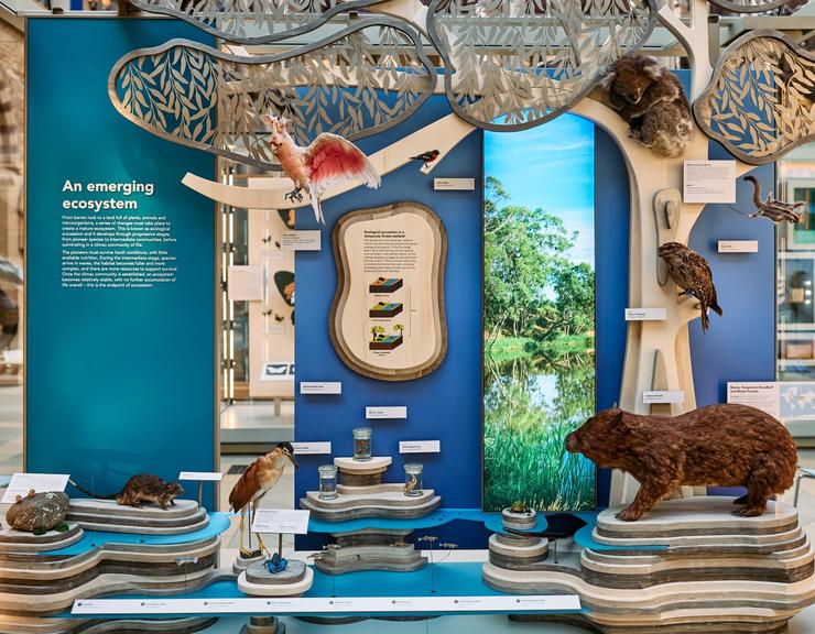 Ecosystems | Oxford University Museum of Natural History