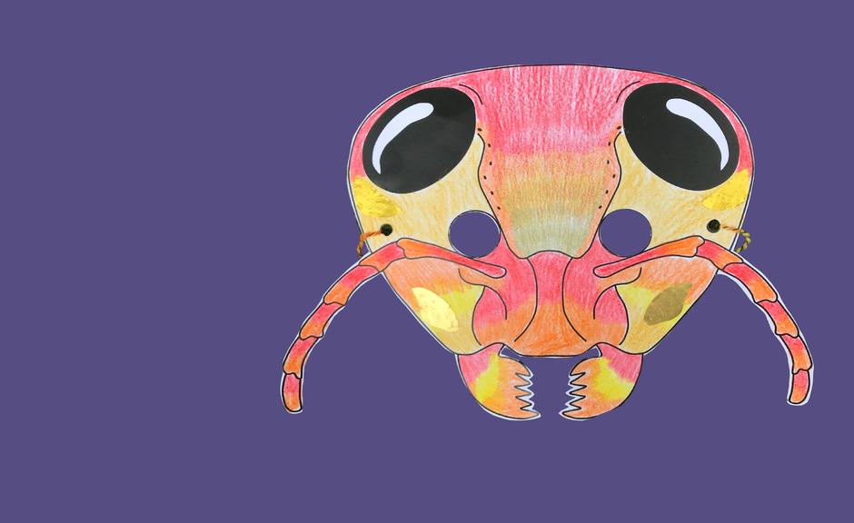 Ant Mask | Oxford University Museum of Natural History