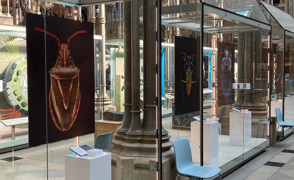 Earth - A Planet and its Life | Oxford University Museum of Natural History