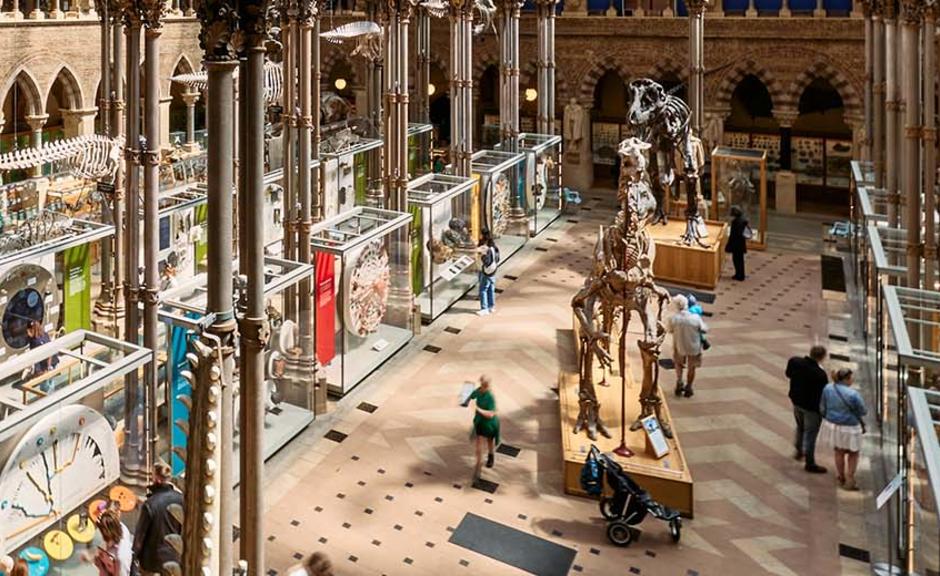 Relaxed Morning Opening | Oxford University Museum of Natural History