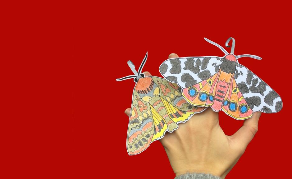 Moth Finger Puppets | Oxford University Museum of Natural History
