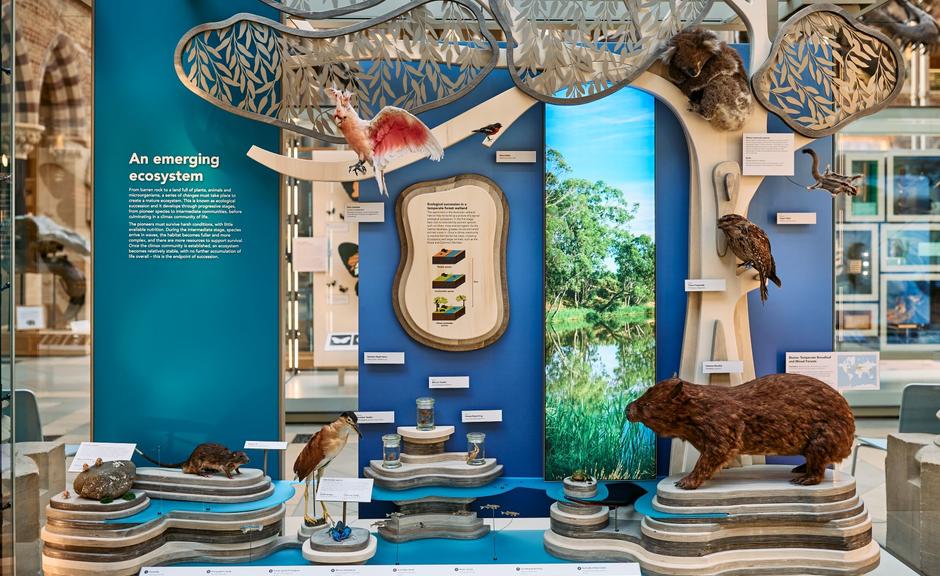 Ecosystems | Oxford University Museum of Natural History
