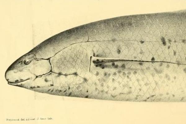 Museum of Natural History homepage | Oxford University Museum of ...