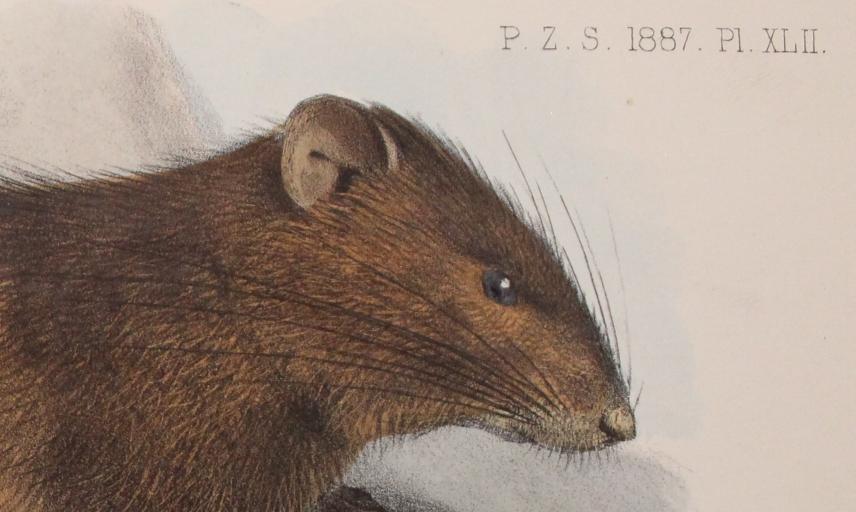 Exhibitions | Oxford University Museum of Natural History