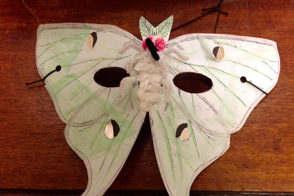 Moth Mask | Oxford University Museum of Natural History